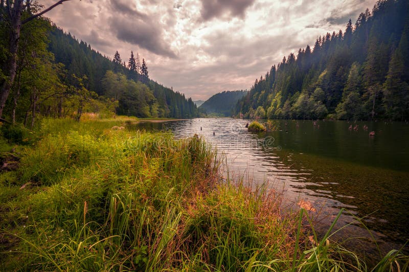 Roter See, Rumänien stockbild. Bild von reise, hilfsmittel - 10850669