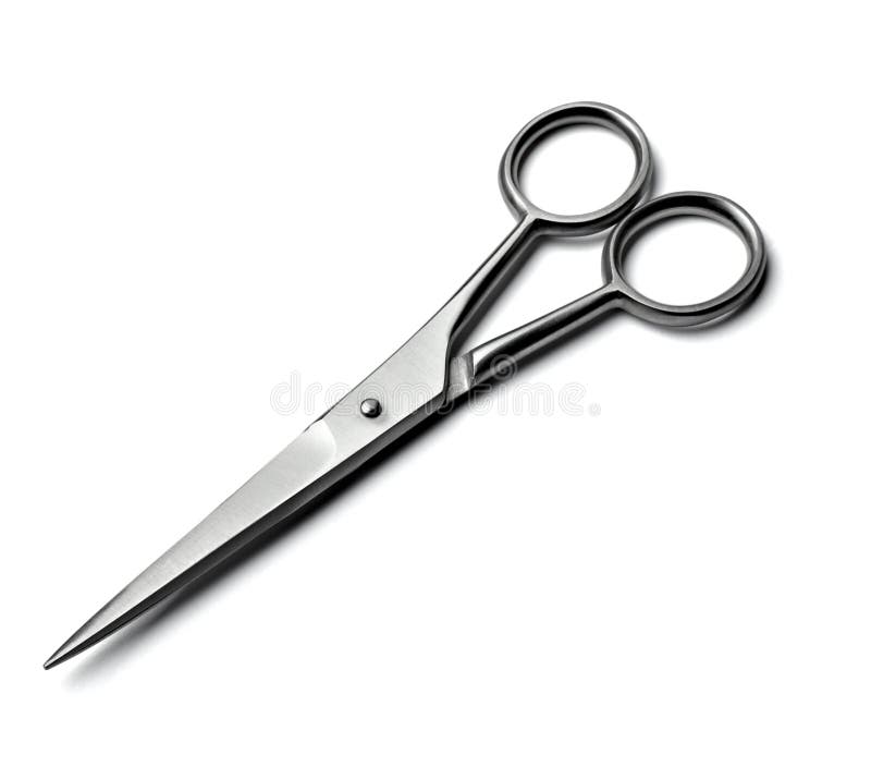 Schaar 2 stock foto. Image of sinaasappel, levering, snijder - 7453002