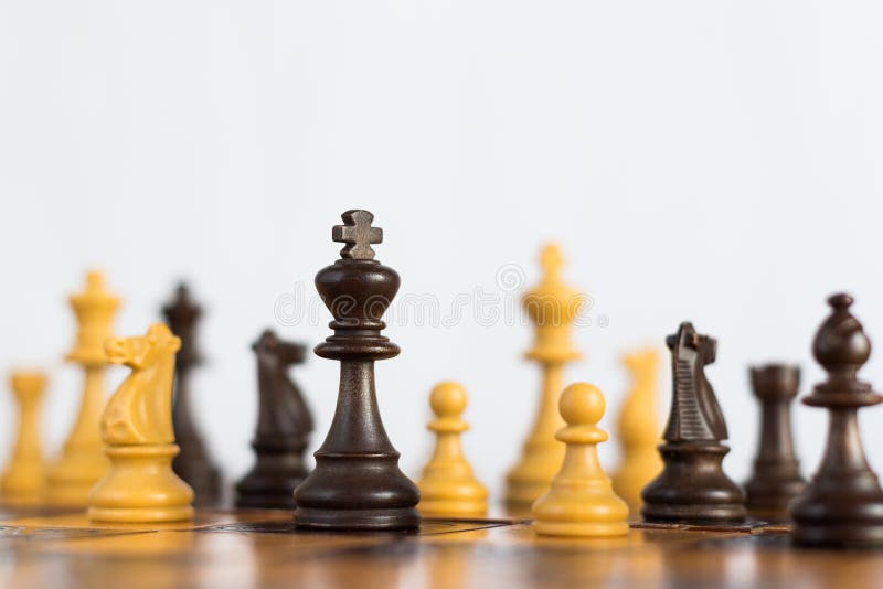 Schack fotografering för bildbyråer. Bild av häst, fält - 76869701