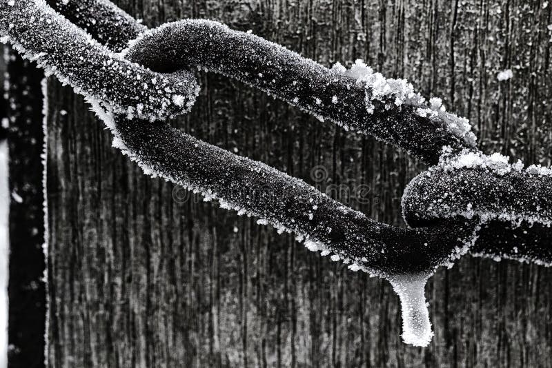 Schalmen Stock Photos - Free & Royalty-Free Stock Photos from Dreamstime