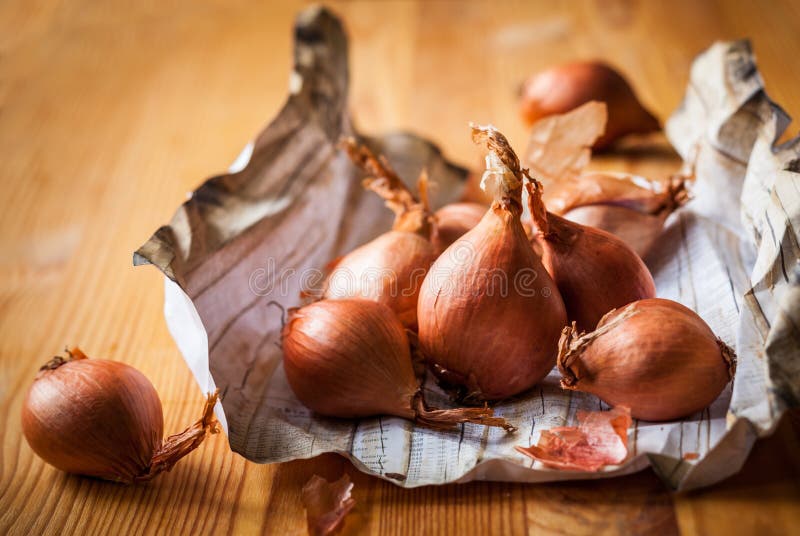 Schalotte stockfoto. Bild von frisch, nahaufnahme, kochen - 4915548