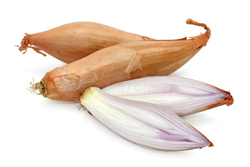 Schalotte stockfoto. Bild von geschnitten, vegetarier - 4915548