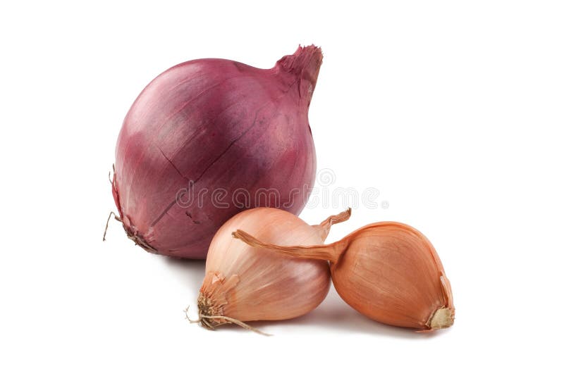Schalotte und rote Zwiebel stockbild. Bild von organisch - 7535513