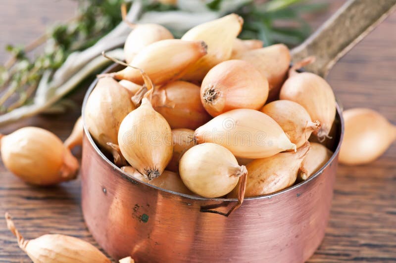Schalotten stockfoto. Bild von hölzern, schalotten, gemüse - 24057084