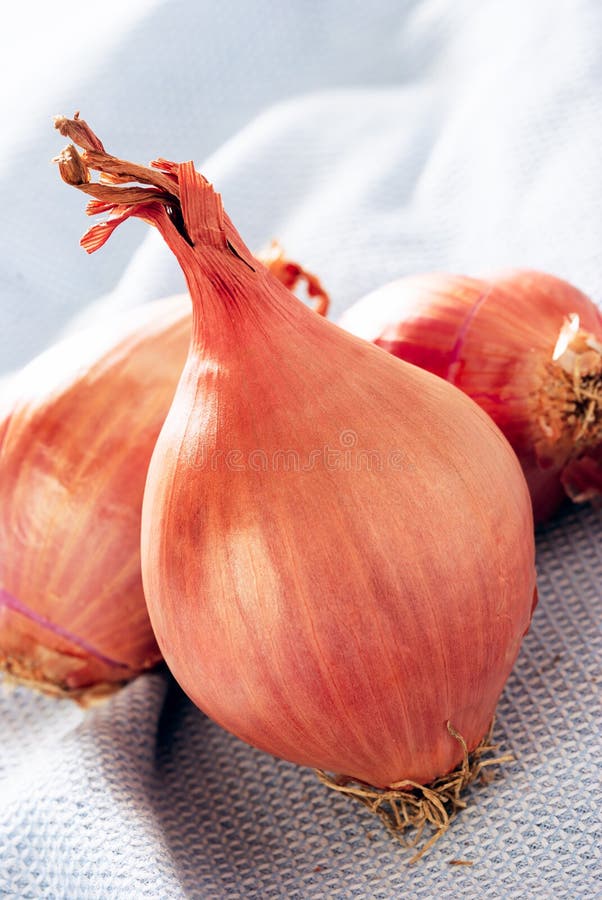 Schalotten stockbild. Bild von makro, zwiebel, nahrung - 3937467