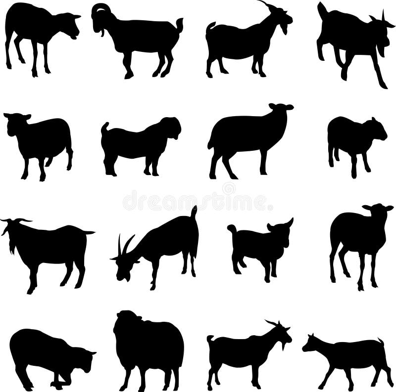 Schapen en geiten vector illustratie. Illustration of amerika - 16448814