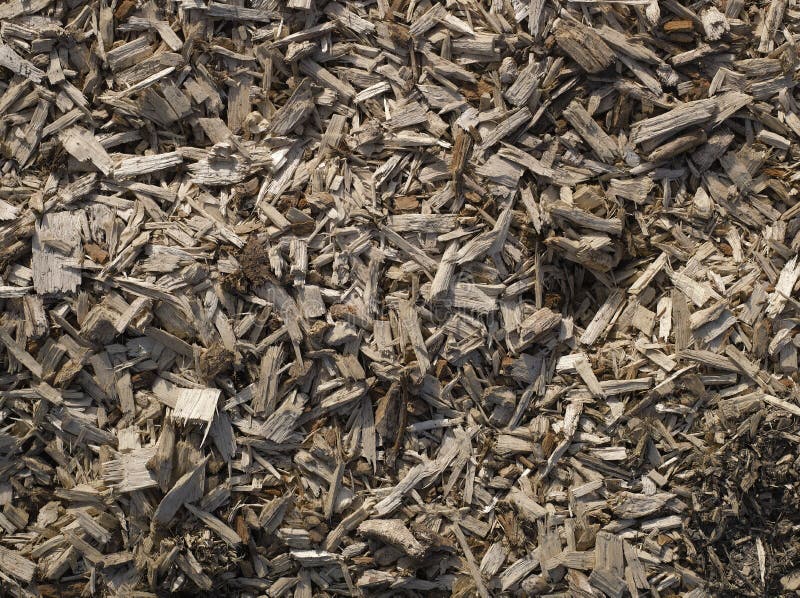 Alte Axt Und Splitter Des Holzes Stockbild - Bild von auswahl, schnitt ...