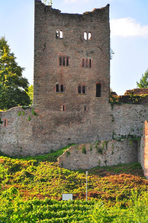 Schauenburg Castle stock photo. Image of baden, medieval - 10468328