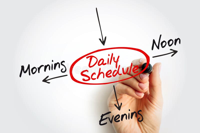 Daily Schedule Mind Map - Morning, Noon, Evening. Useful for ...