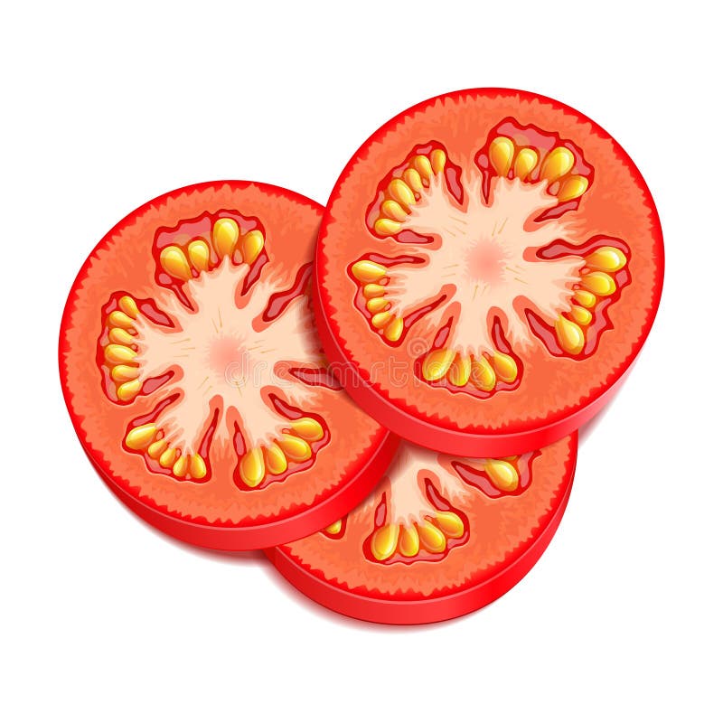 Scheibe der Tomate stock abbildung. Illustration von gesundheit - 32888784