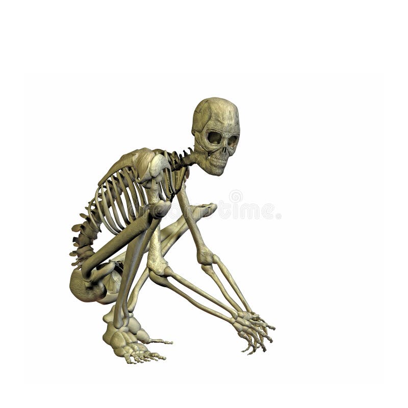 Scheletro illustrazione di stock. Illustrazione di orrore - 4507337