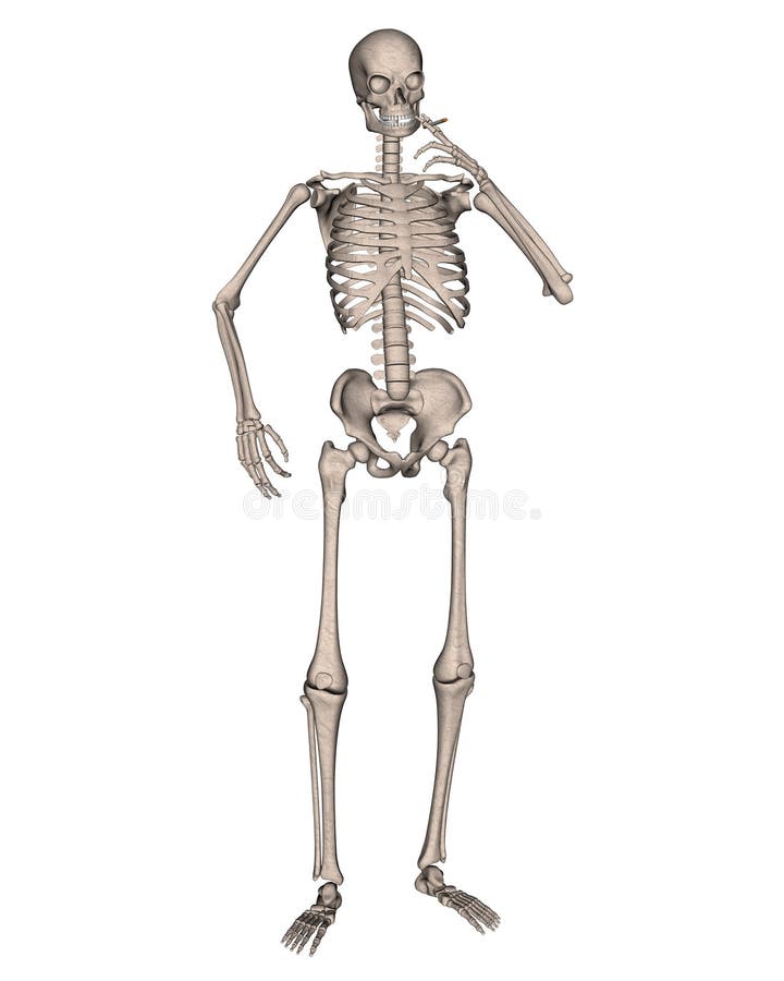 Scheletro Che Fuma Una Sigaretta Illustrazione di Stock - Illustrazione ...