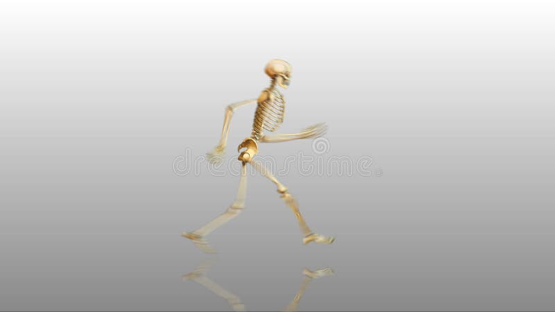 Scheletro di camminata video d archivio. Video di proposta - 35663933
