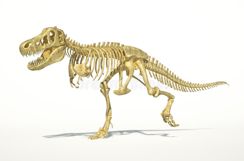 Scheletro Pieno Del Dinosauro Di T-Rex, Foto-realistico, Scientifico ... Scheletro Pieno Del Dinosauro Di T-Rex, Foto-realistico, Scientifico ...
