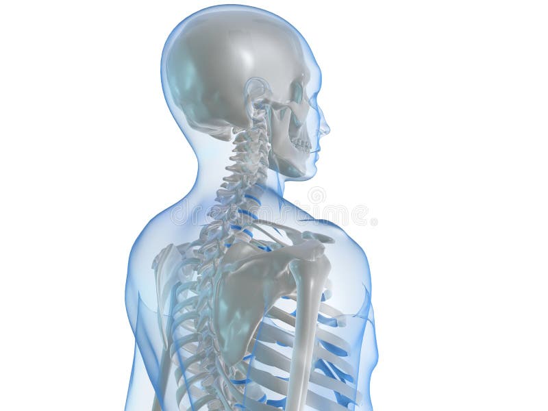 Testa Umana Maschio Con Il Cranio Nell'effetto Del Fantasma, Vista ...