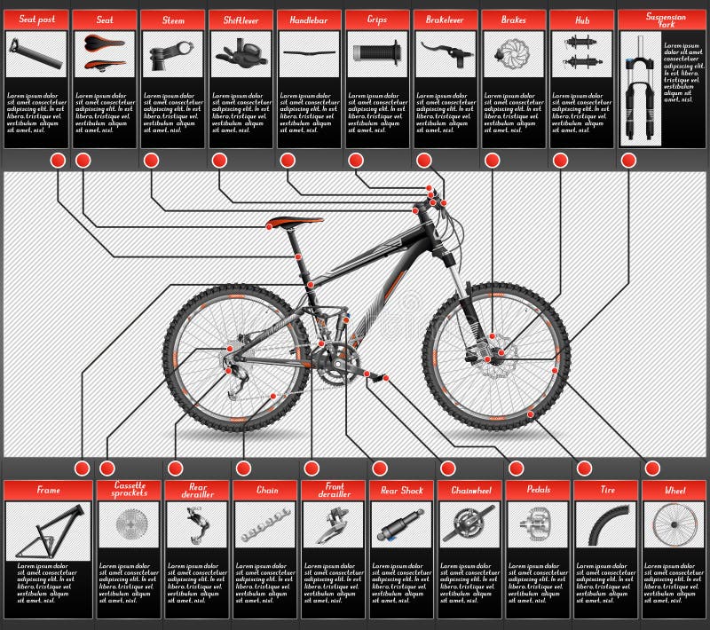 Schema Di Una Mountain Bike Illustrazione Vettoriale - Illustrazione di ...