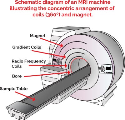 Schematic Diagram of an MRI Machine Illustrating the Concentric ...