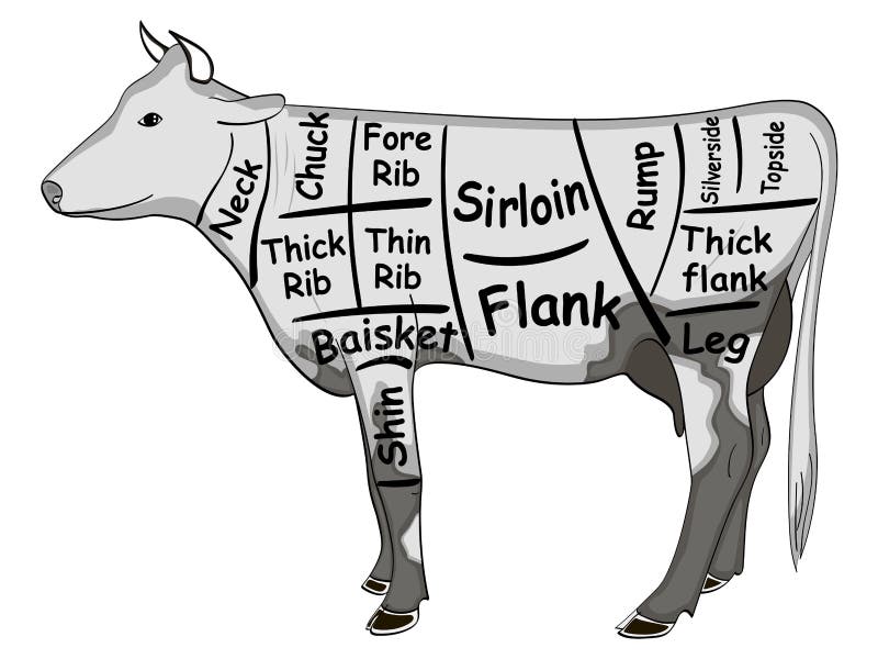 Pork Pig Carcass Cut Parts Info Graphics Scheme Sign Poster Butchers ...