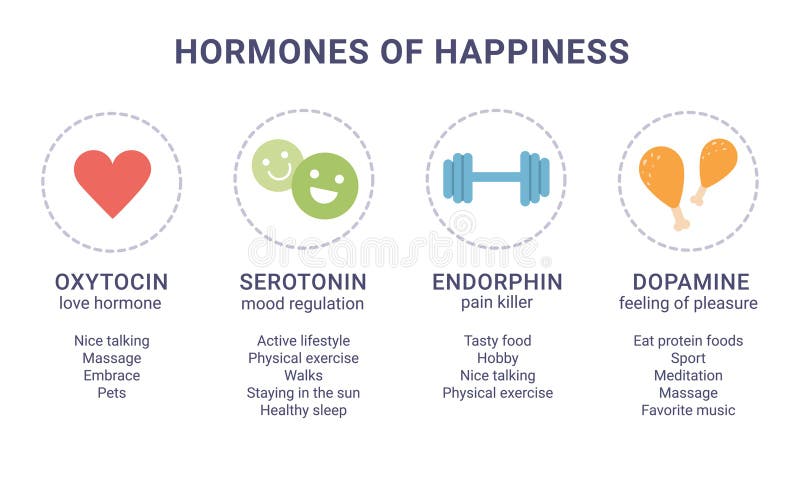 Brain Hormones Stock Illustrations 1275 Brain Hormones Stock