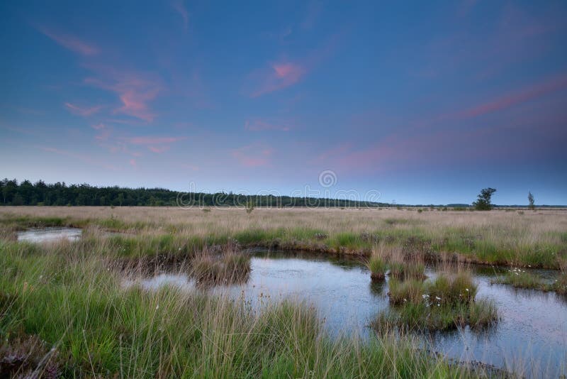 Mist Over Moeras in Drenthe Stock Foto - Image of nevelig, meer: 31427946