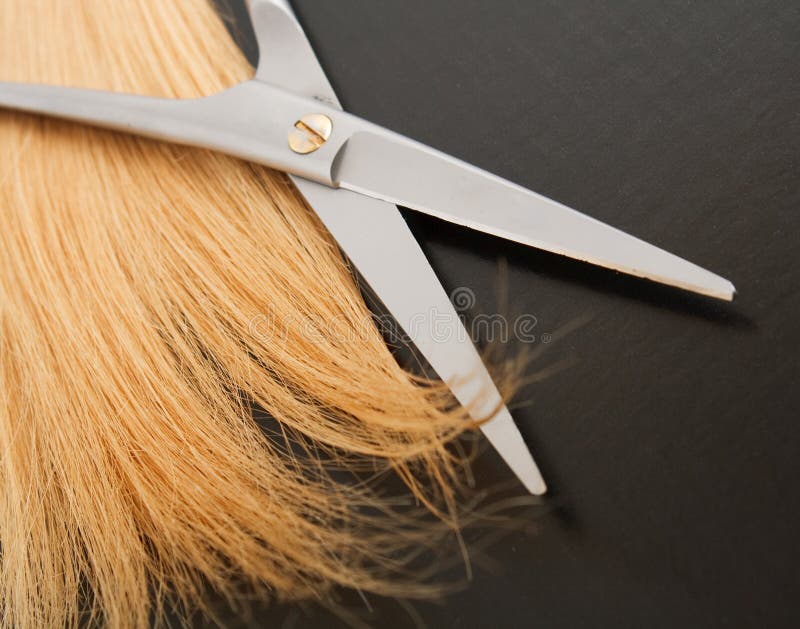 Friseurscheren Und Verschluss Des Haares Stockbild - Bild von ...