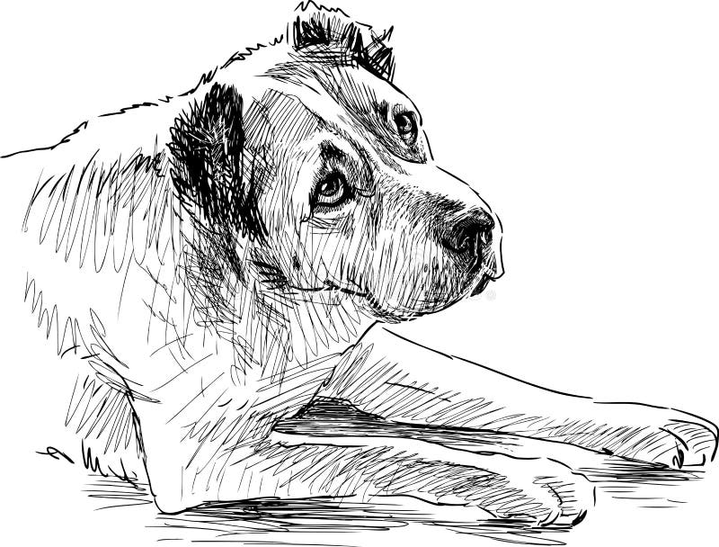 Schets Van Een Droevige Hond Vector Illustratie - Illustration of ...