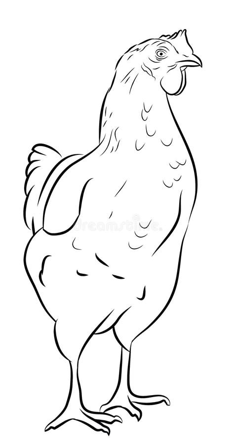 Retro Beeldverhaalkip Op Nest Van Eieren Vector Illustratie ...