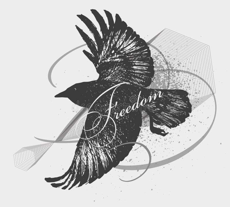 Schets van een raaf vector illustratie. Illustration of schets - 56859078