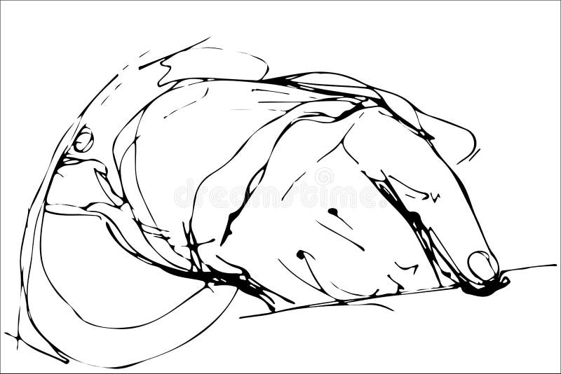 Schets Van Een Vinger Van De Hand Op De Lijst Vector Illustratie ...