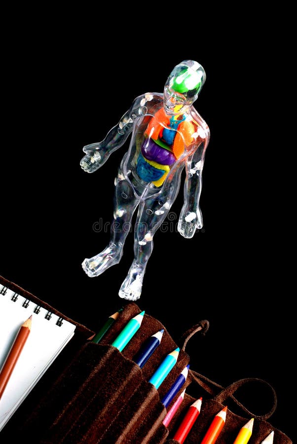 Schets Van Het Menselijk Lichaam Stock Illustratie - Illustration of ...