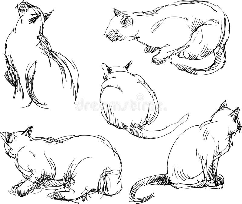 Schetsen Van Een Binnenlandse Kat Vector Illustratie - Illustratie ...