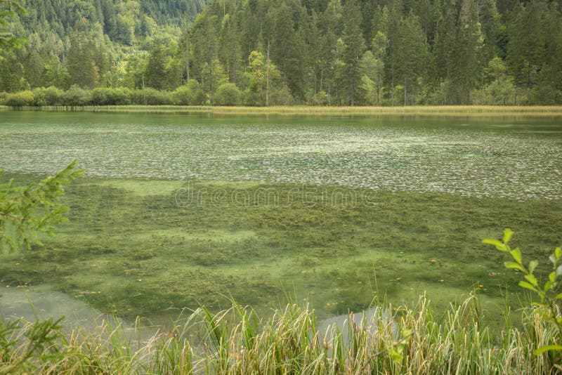 Schiederweiher, Beautiful Lake in Austria Near Hinterstoder Stock Image ...