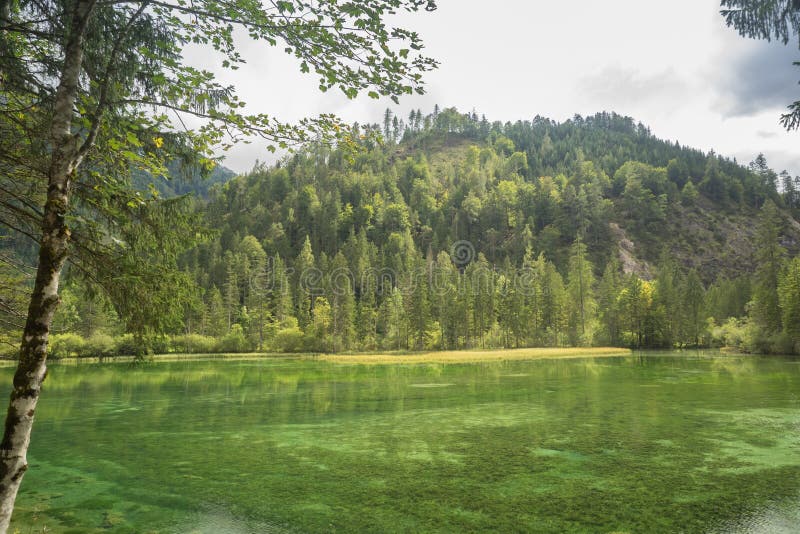 Schiederweiher, Beautiful Lake in Austria Near Hinterstoder Stock Image ...