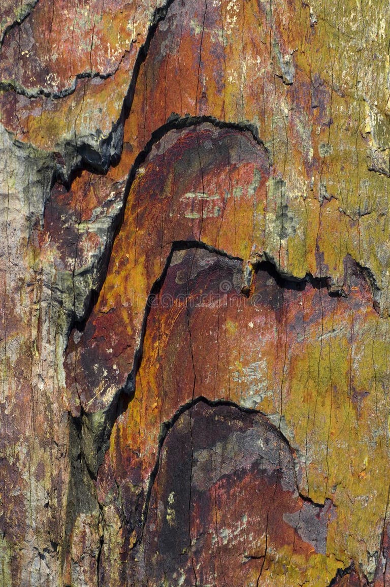 1,670 Schist Stone Texture Stock Photos - Free & Royalty-Free Stock ...