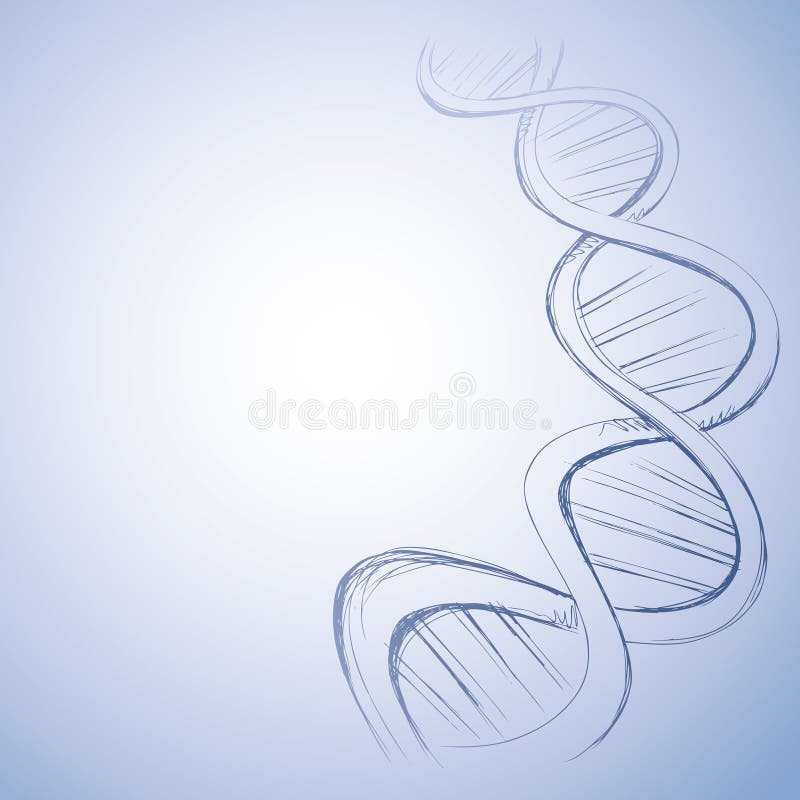 Schizzo a Mano Libera Di Vettore Di DNA Illustrazione Vettoriale ...