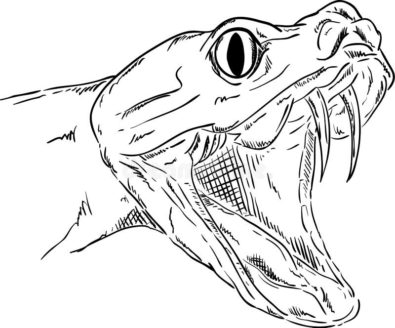 Schlangenkopf vektor abbildung. Illustration von reptil - 31383122