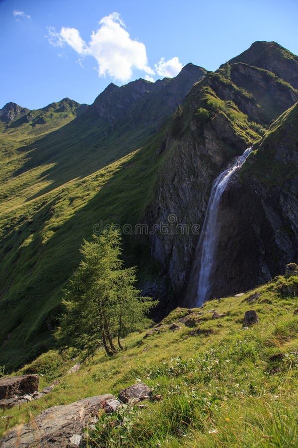Schleierfall Cascade in Tux Tyrol Stock Image - Image of tuxer, shrub ...