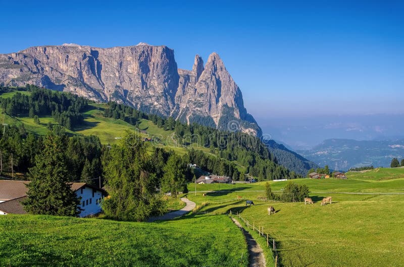 Schlern stock photo. Image of dolomites, alto, pasture - 63932660