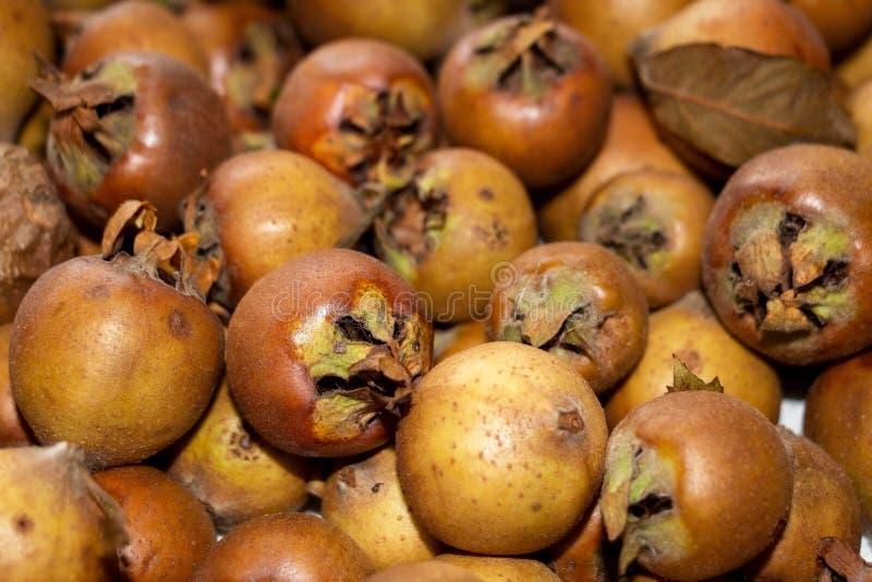 Mispeln stockbild. Bild von frisch, markt, organisch - 35969125