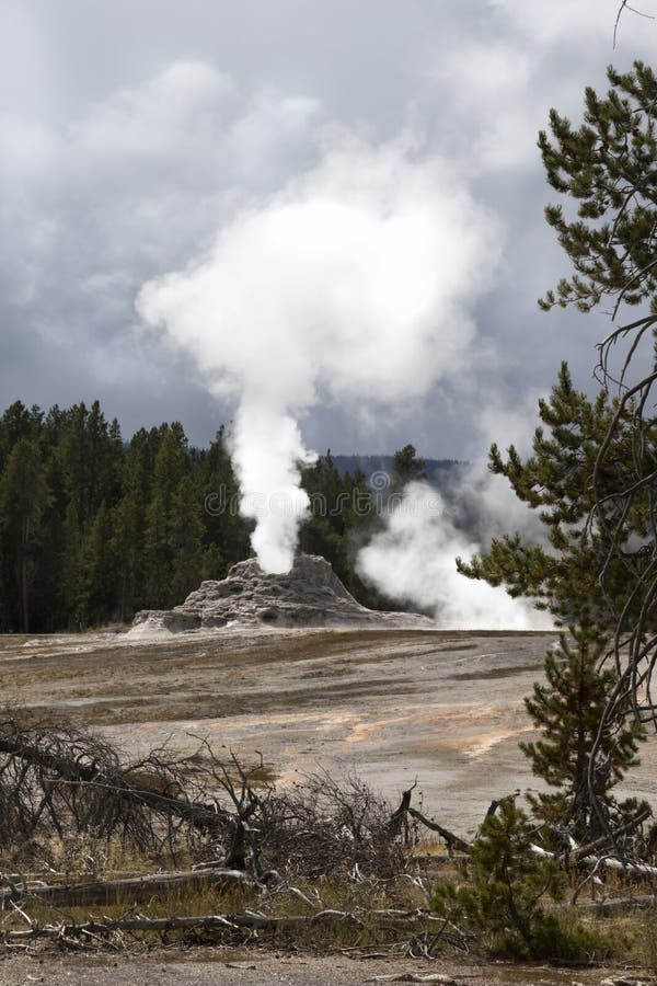 Schloss-Geysireruption, Yellowstone-Vulkan Stockfoto - Bild von ...