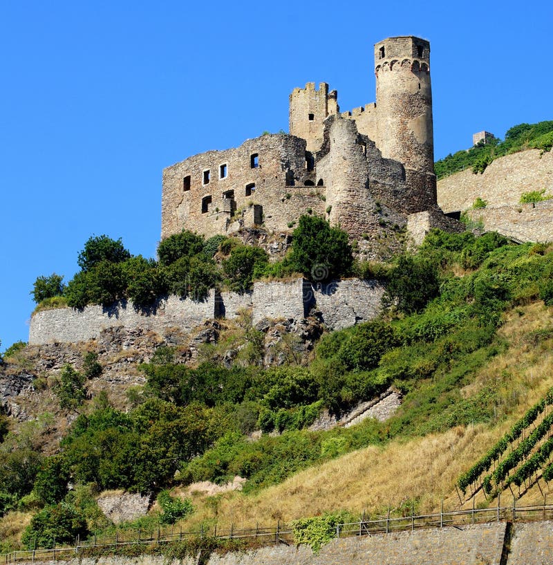 Schloss-Ruine Auf Fluss Rhein Stockfoto - Bild von ruine, deutschland ...