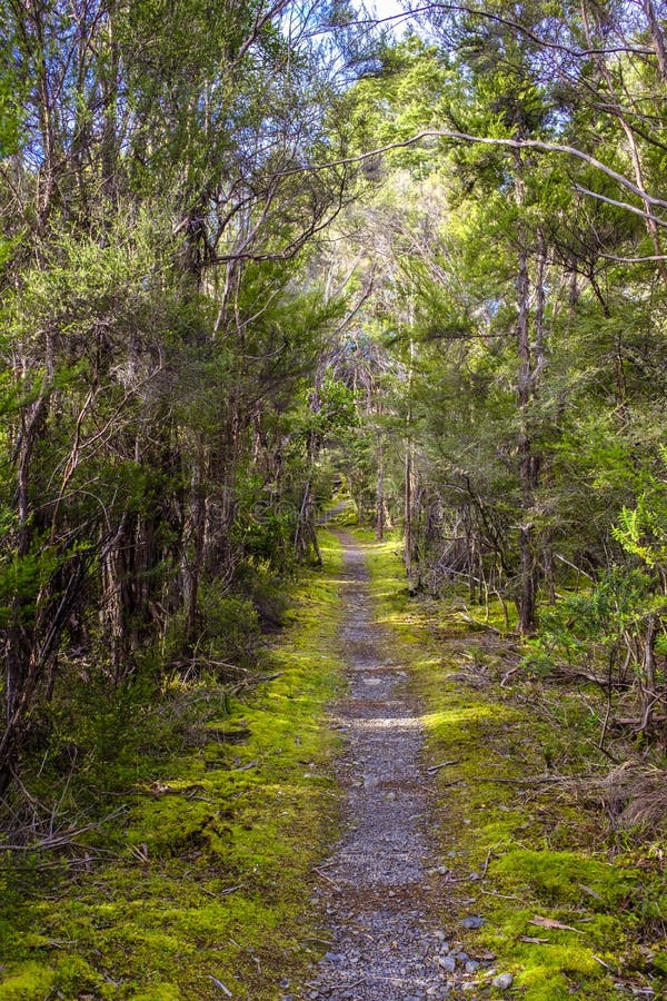 Der Schmale Weg Bei Pigna Auf Korsika-Insel Stockfoto - Bild von ...
