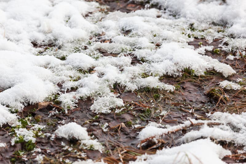 Schmelzender Schnee Auf Dem Boden Stockfoto - Bild von eingefroren ...