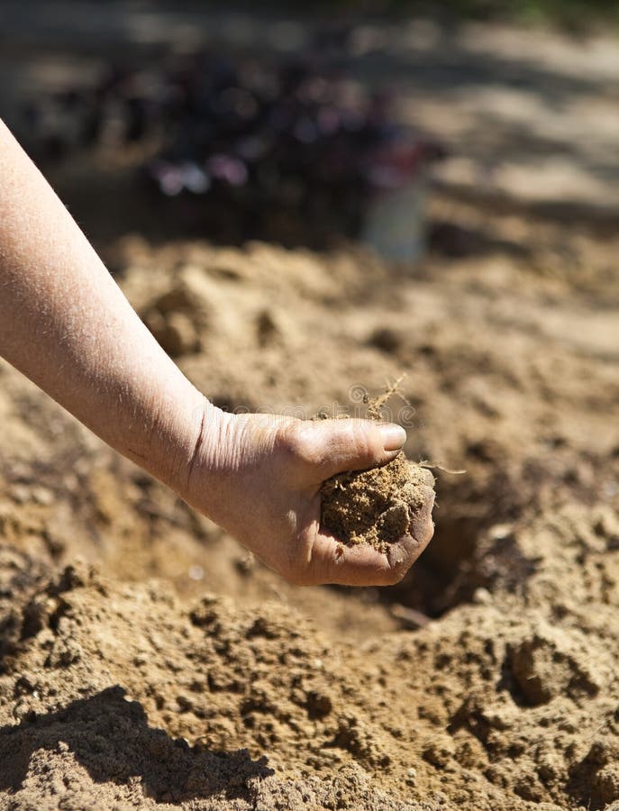 Schmutz stockbild. Bild von düngemittel, arme, faust, garten - 8904305