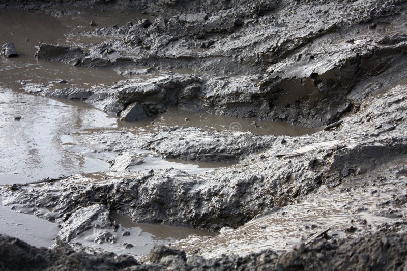 Böden Im Baggersee: Straßen, Schlamm Und Dschungel – EKYRO