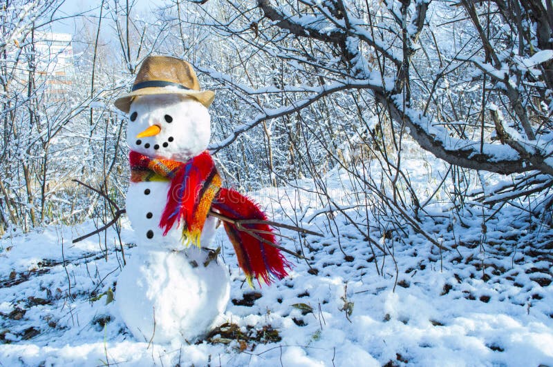 Schmelzender Schneemann stockbild. Bild von schneemann - 11015113