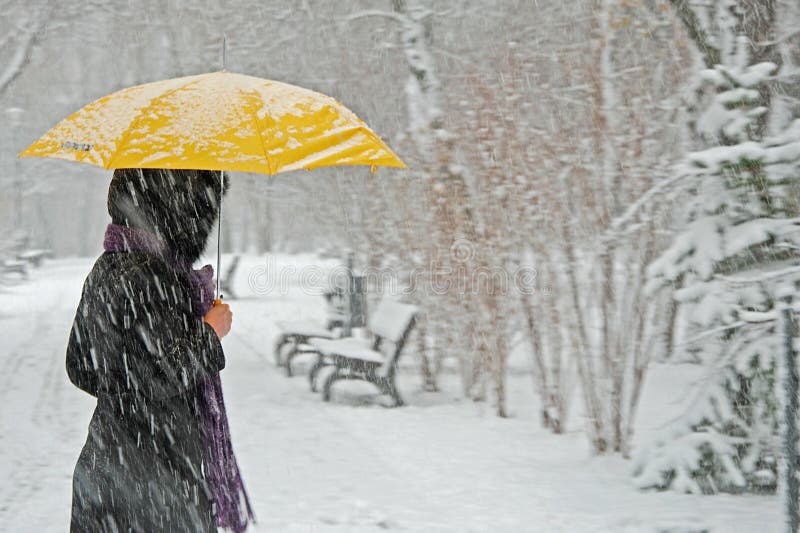 Schneien stockfoto. Bild von regenschirm, winter, schneien - 15781388