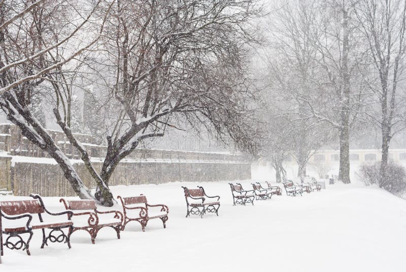 Schneien stockfoto. Bild von frost, morgen, ruhe, kühl - 16748628