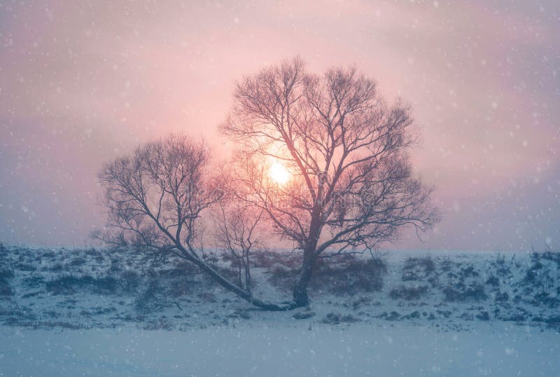 Schneien Im Weihnachtswinter Im Dorf Stockfoto - Bild von stadt ...