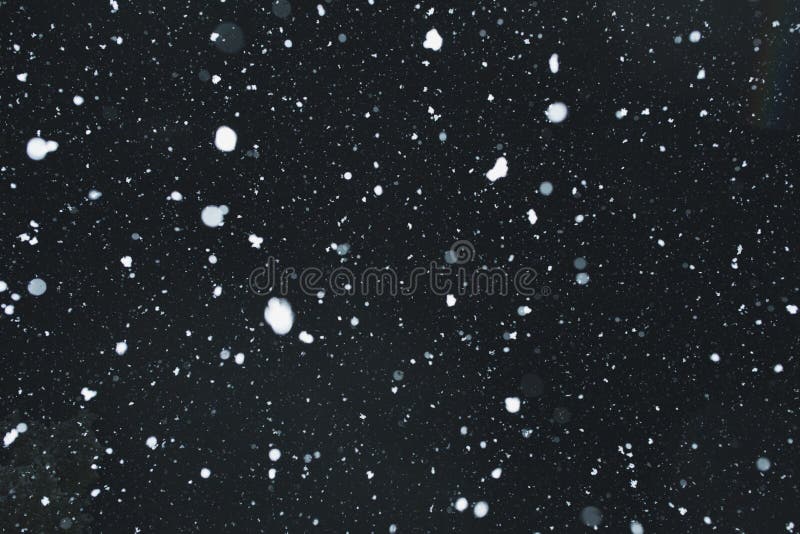 Schneien Mit Schneeflocken Auf Schwarzem Hintergrund Stockfoto - Bild ...